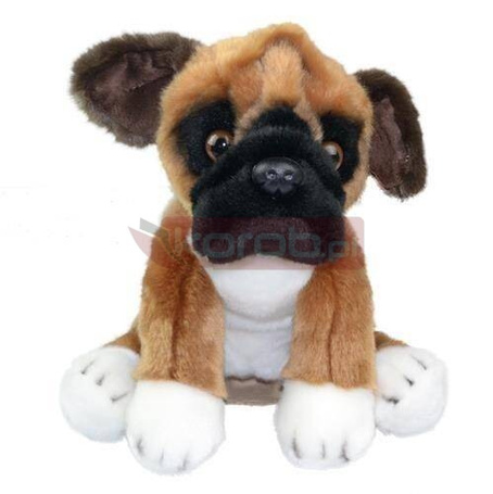 Fluffy Fam pies Boxer 30cm | ZABAWKI \ Maskotki | Hurtownia książek ...
